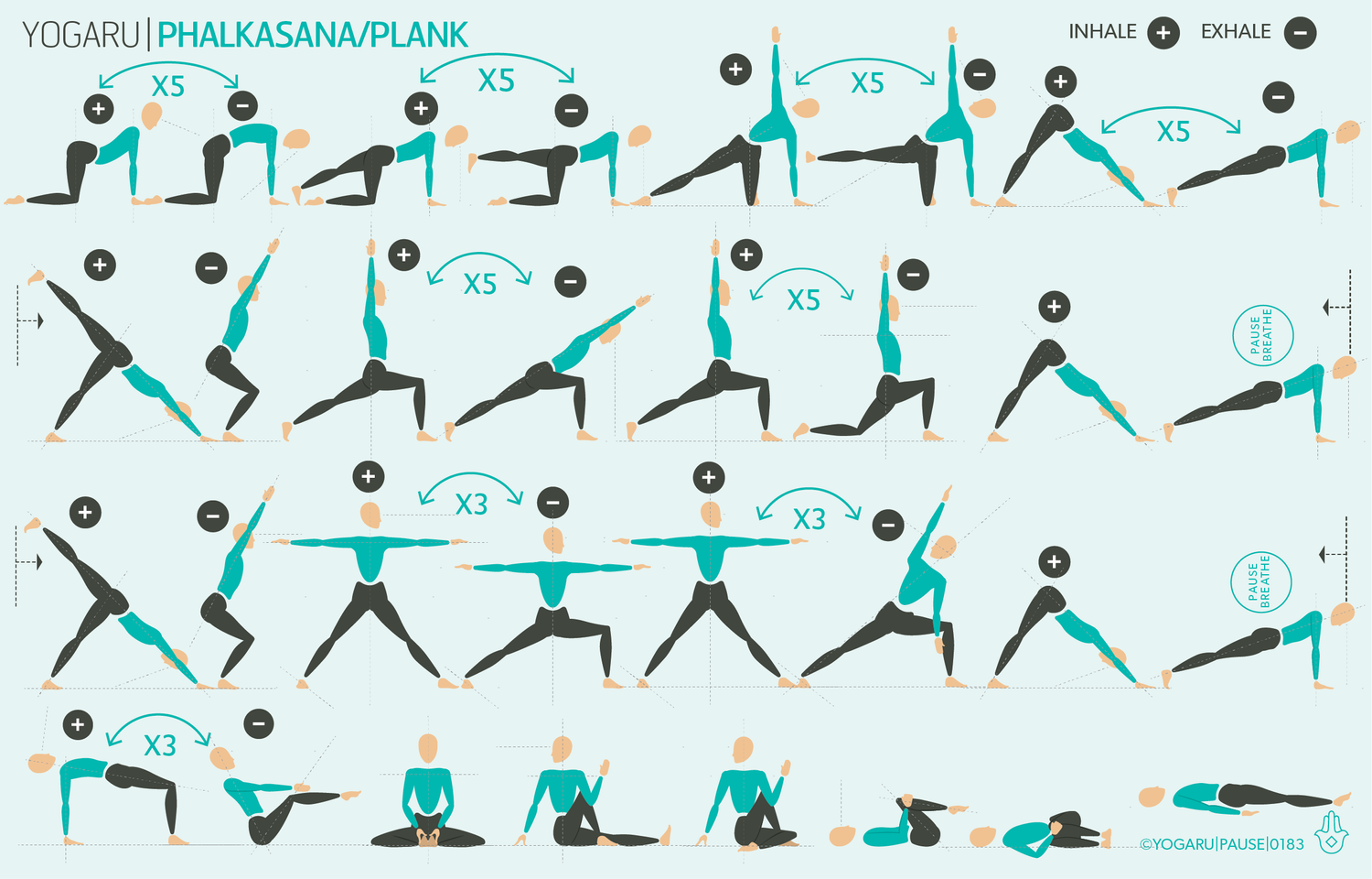 Phalakasana - Plank — YOGARU