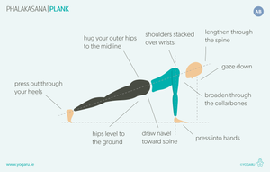 Phalakasana - Plank — YOGARU