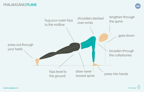 Phalakasana - Plank — YOGARU