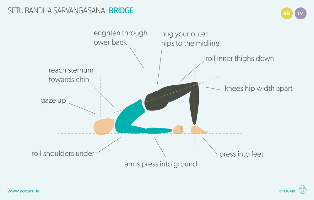 Setu Bandha Sarvangasana - Bridge — YOGARU