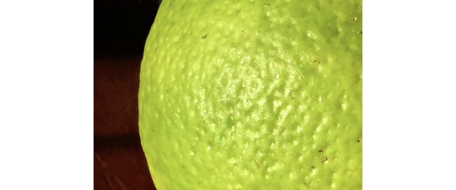 How to choose limes: A cocktailer's guide — Bring Limes