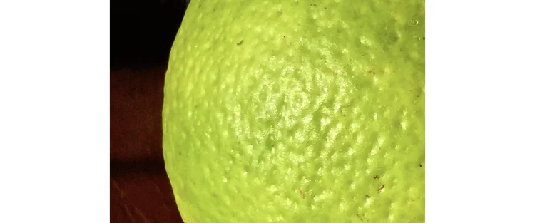 How to choose limes: A cocktailer's guide — Bring Limes