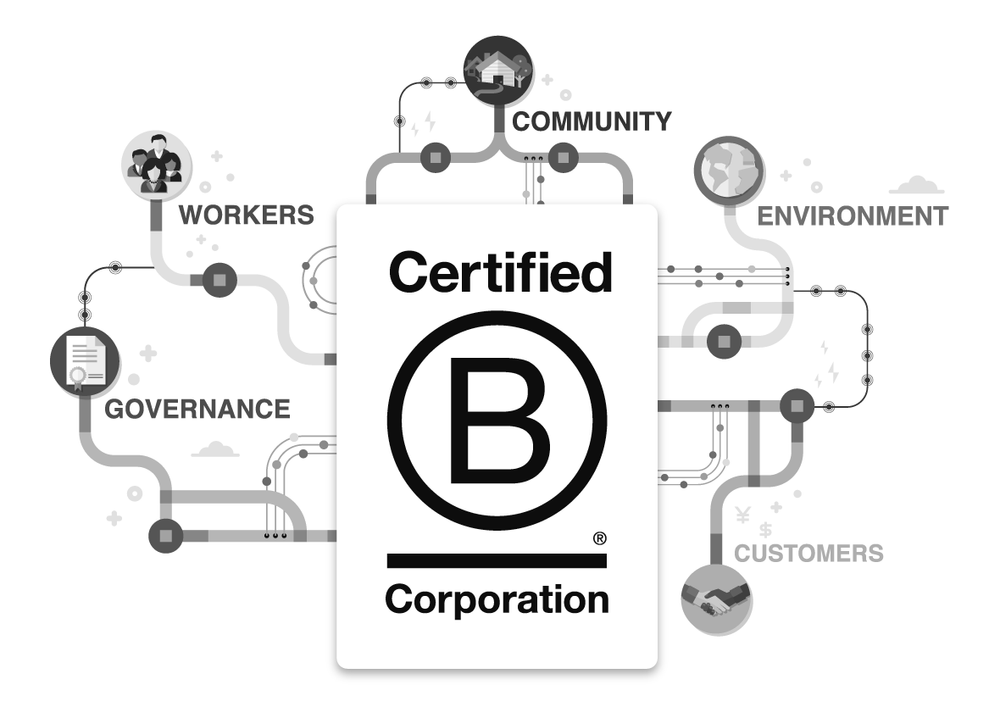 B Corp 101: A Quick Overview — LIFT Economy