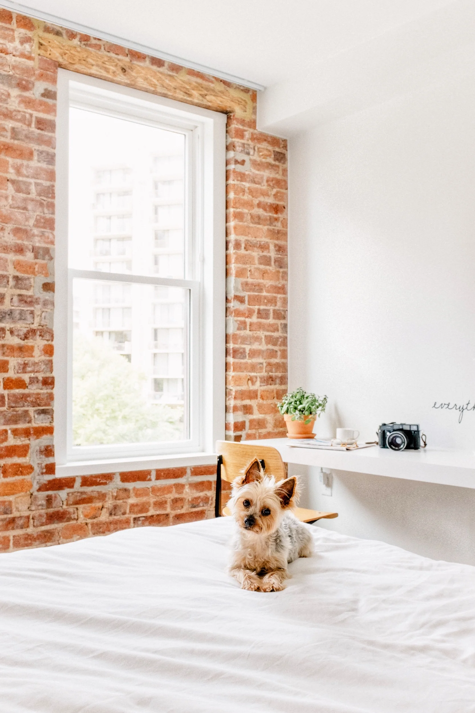 Hotel Hive — This Is The Place I Was Telling You About