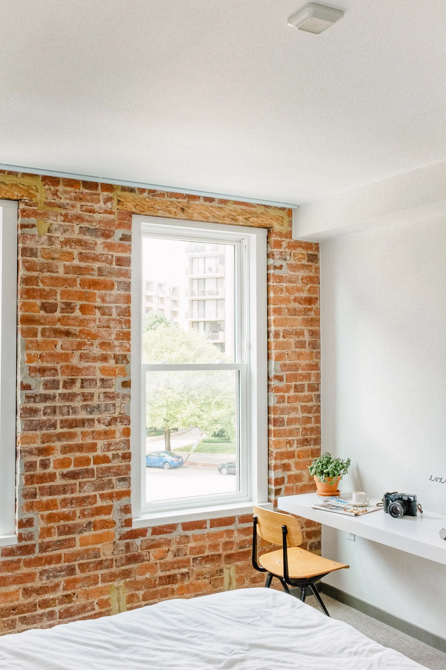 Hotel Hive — This Is The Place I Was Telling You About