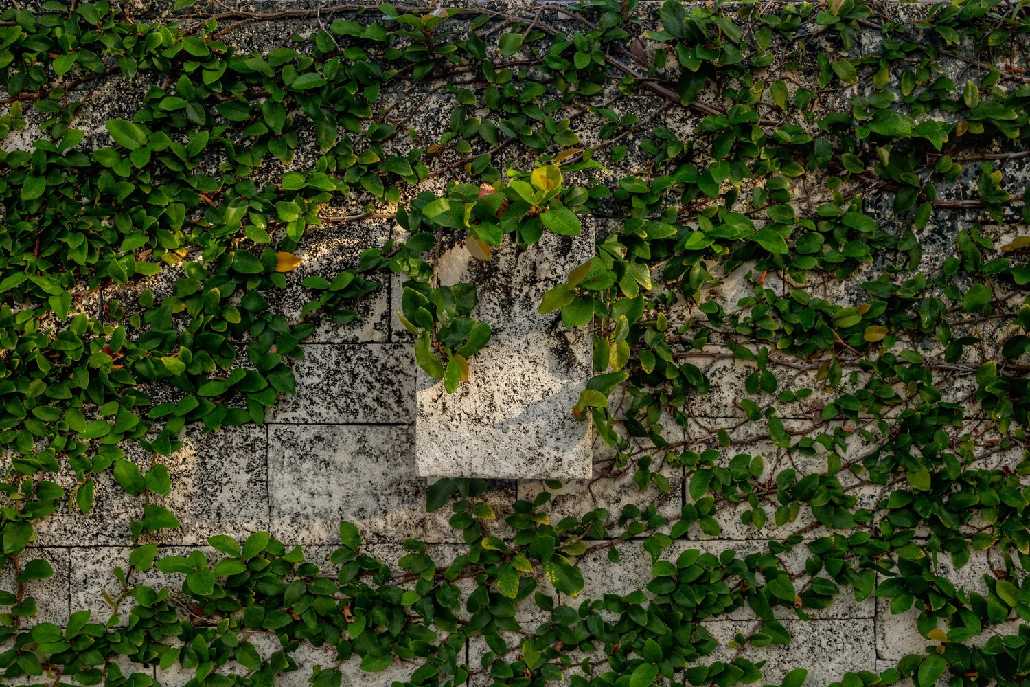 Amanyara — This Is The Place I Was Telling You About