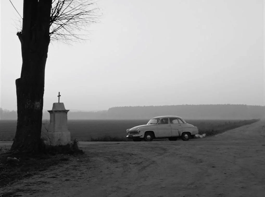 IDA Film Review — San Francisco Art & Film for Teens