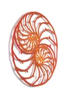 Nerd out on the Nautilus with me — Meredith Woolnough