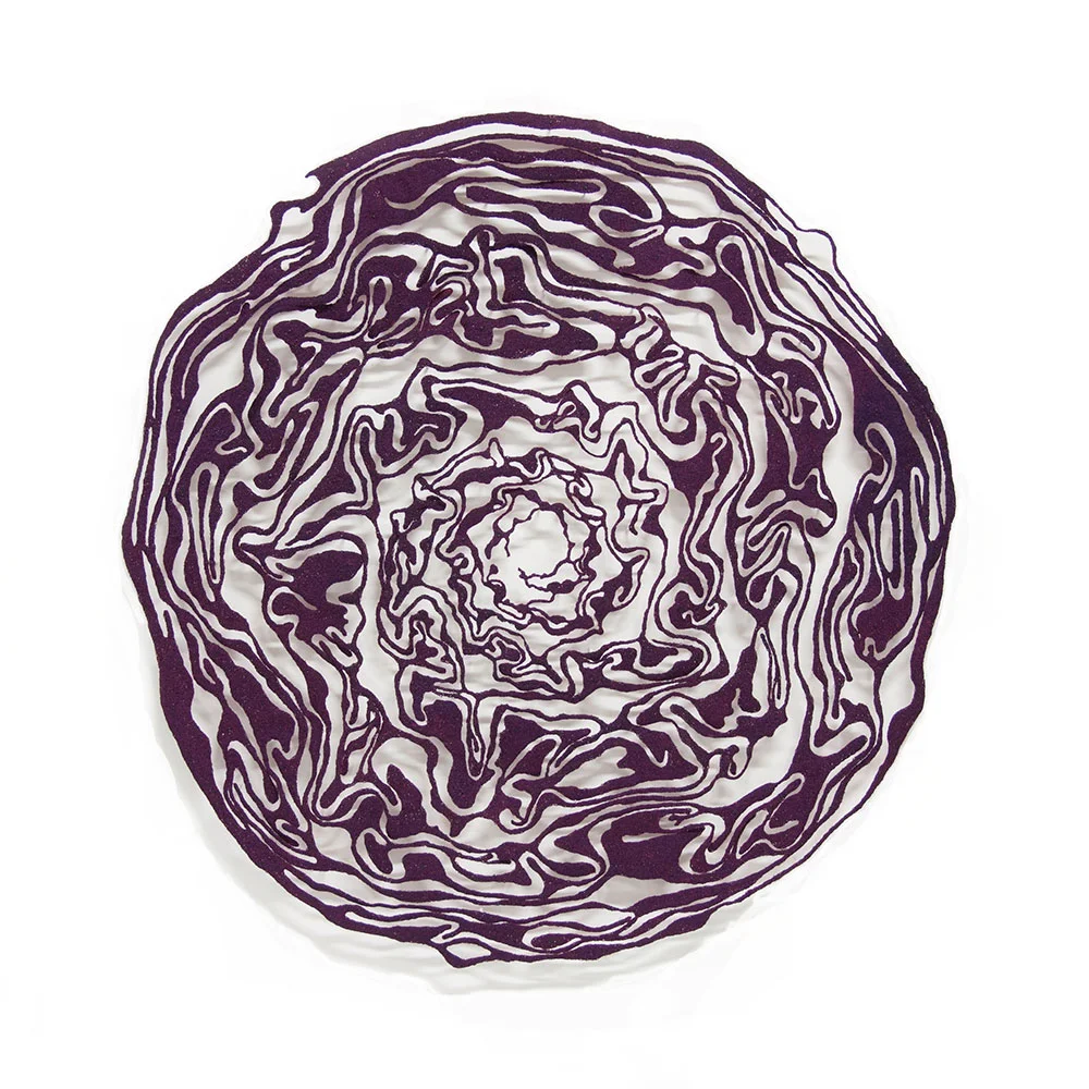 Red Cabbage Drawing