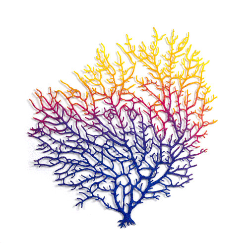 Home — Meredith Woolnough