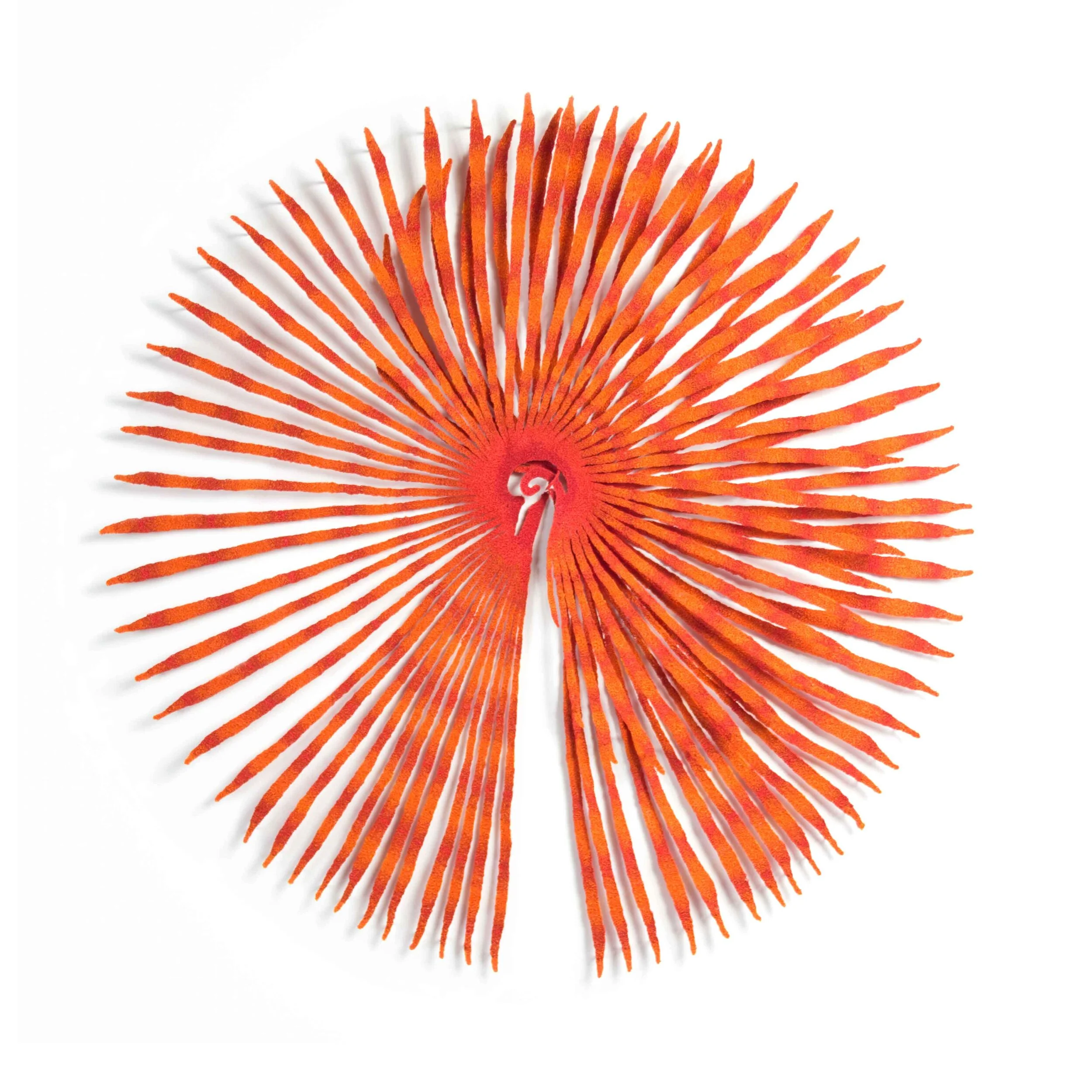Fan Worm Crown — Meredith Woolnough