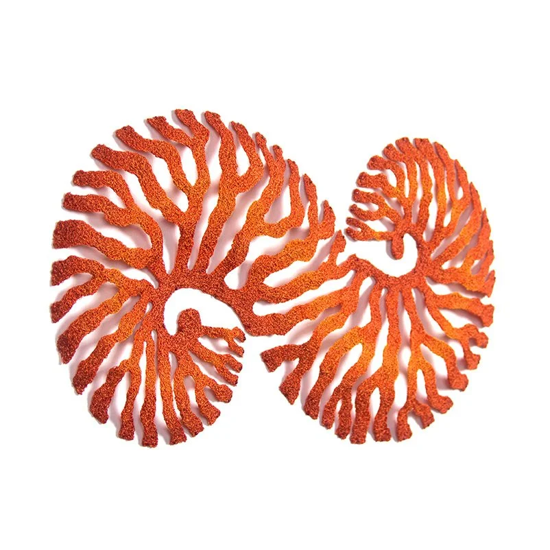 Nerd out on the Nautilus with me — Meredith Woolnough