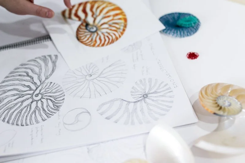 Nerd out on the Nautilus with me — Meredith Woolnough