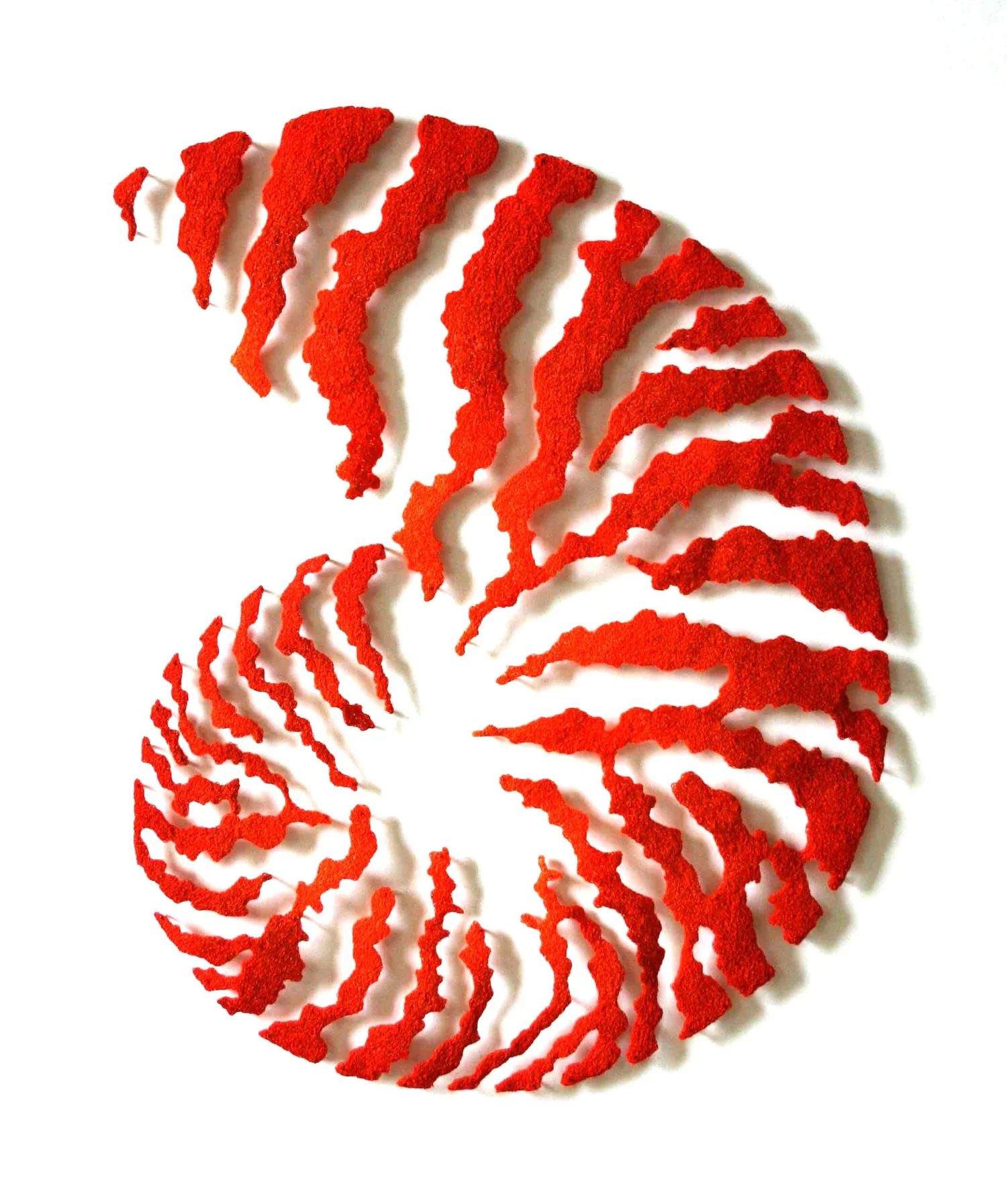 Nerd out on the Nautilus with me — Meredith Woolnough