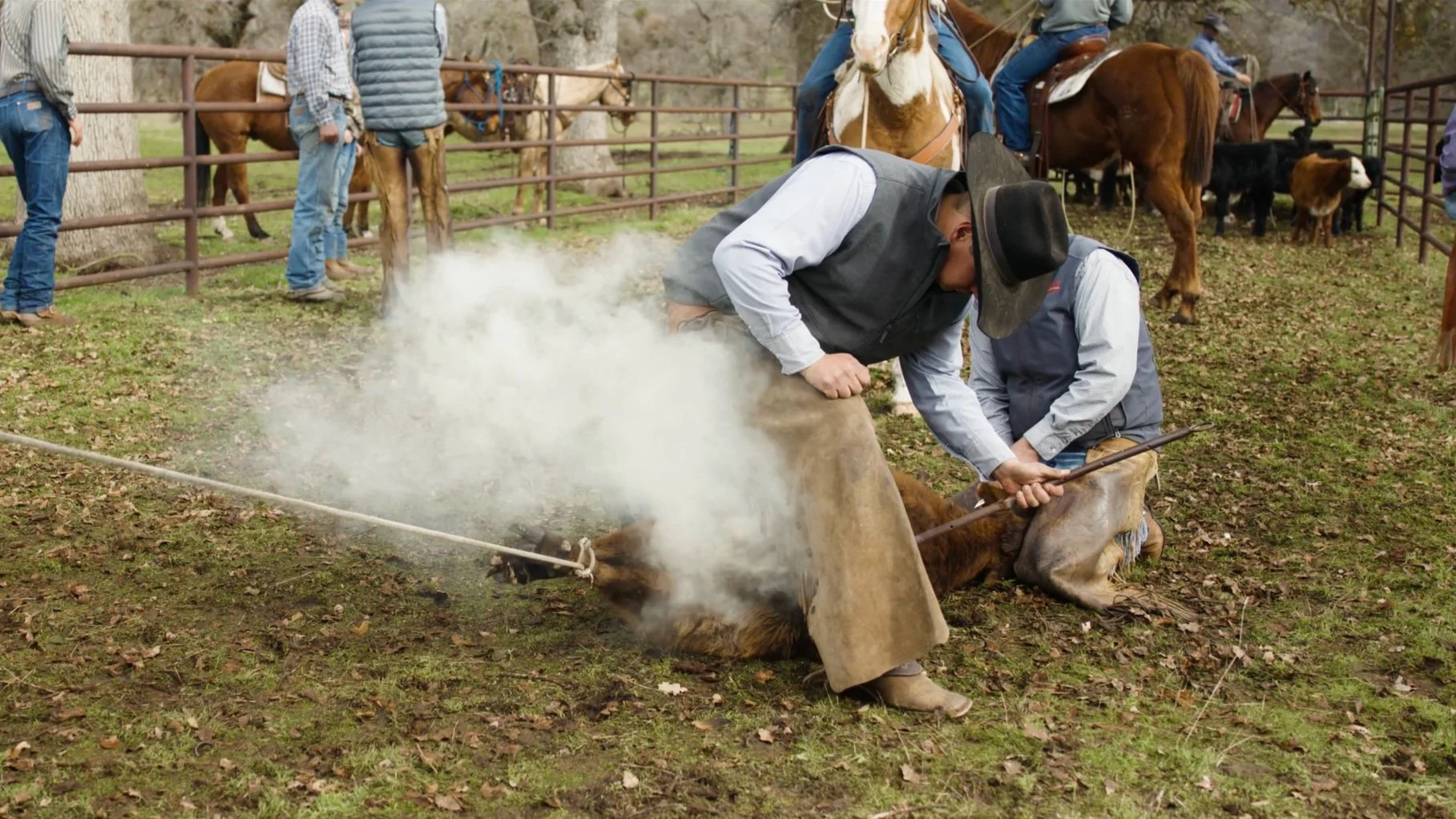 MOTION — ZACH FIEDLER