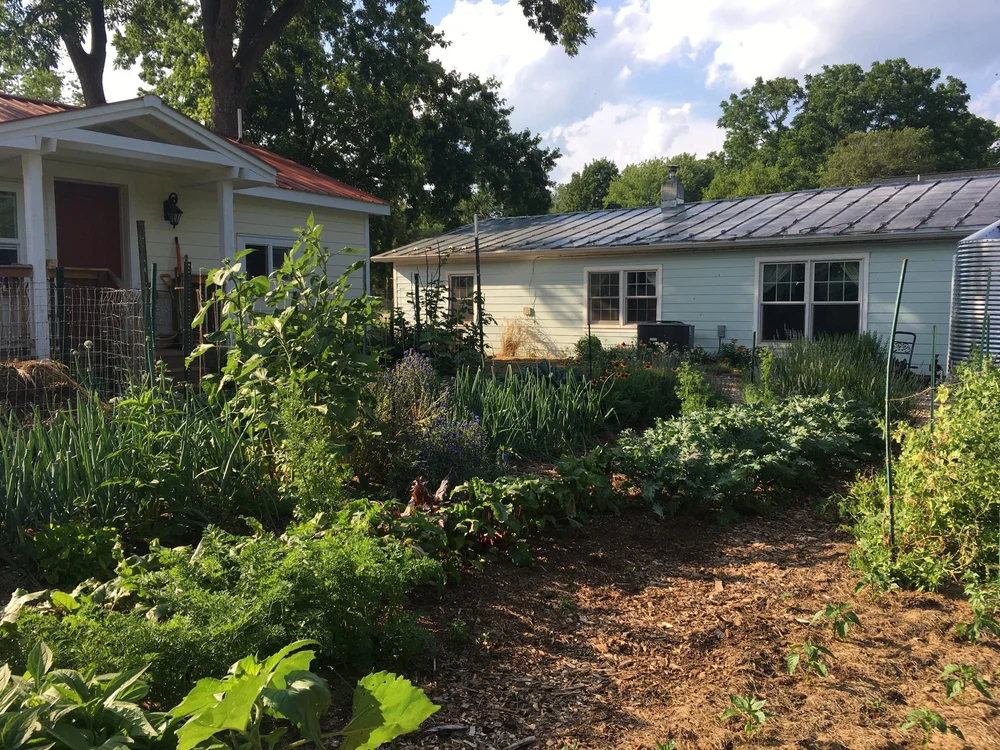 Growing Goodness at Casa Alma — Madison House