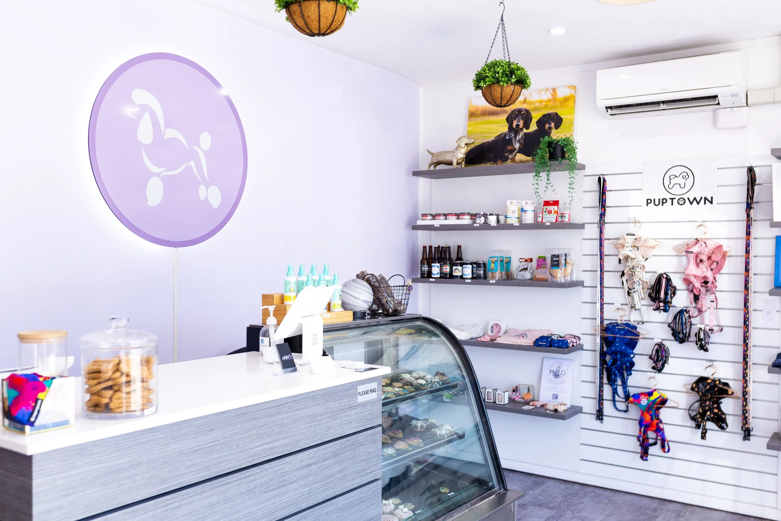Stylist to the Dogs | Affordable pet grooming Narangba