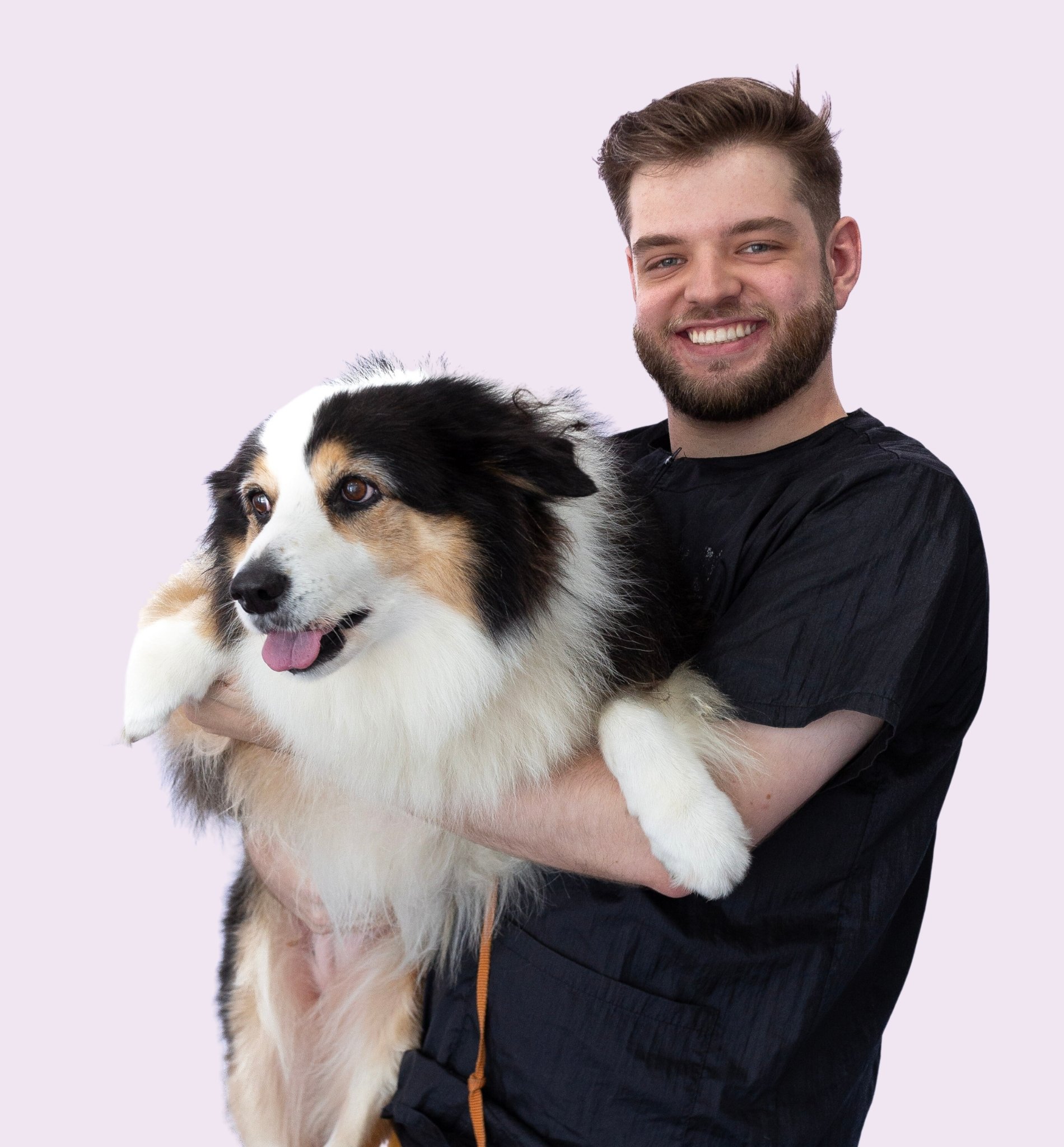 About Us | Stylist to the Dogs
