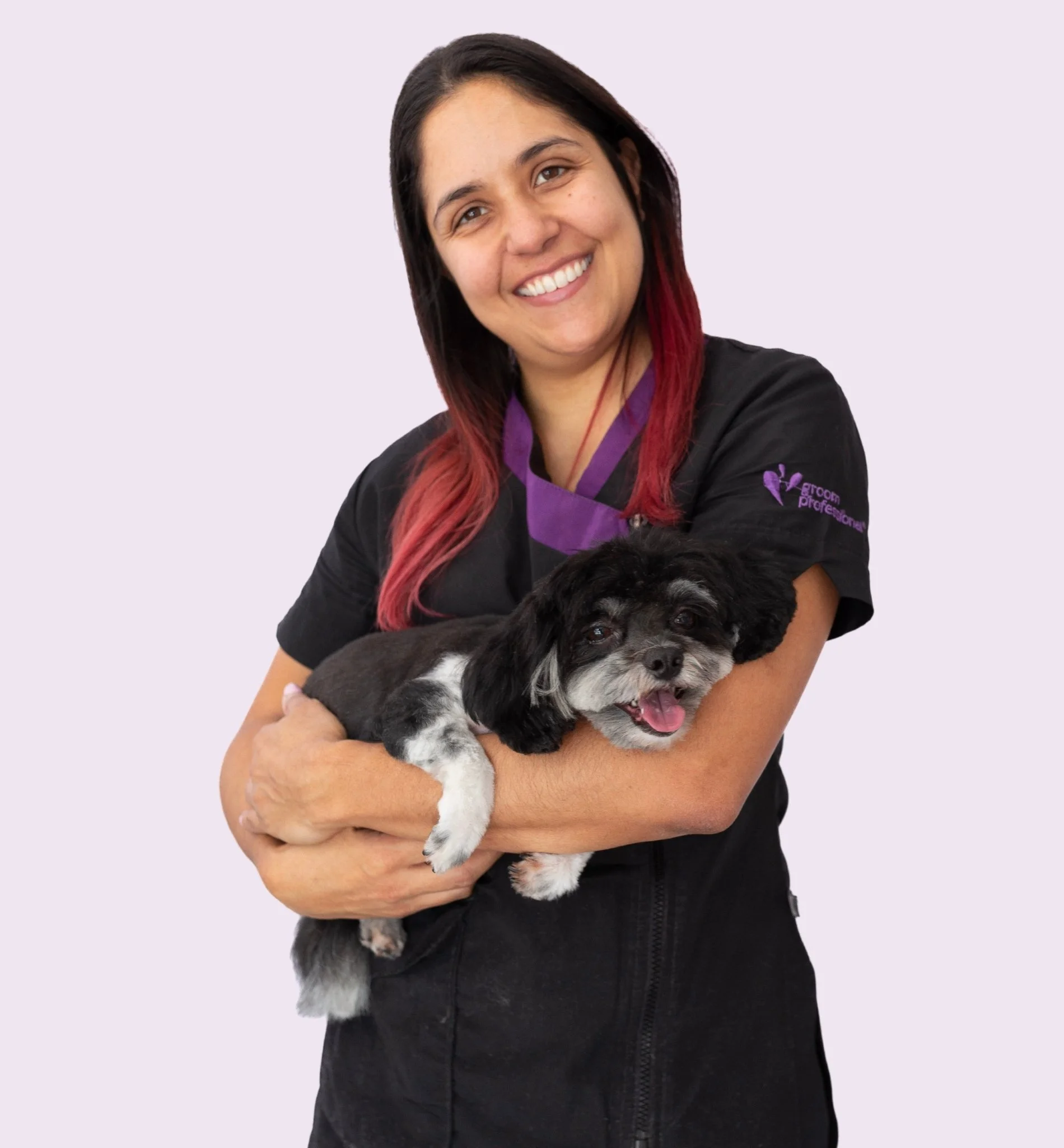 About Us | Stylist to the Dogs
