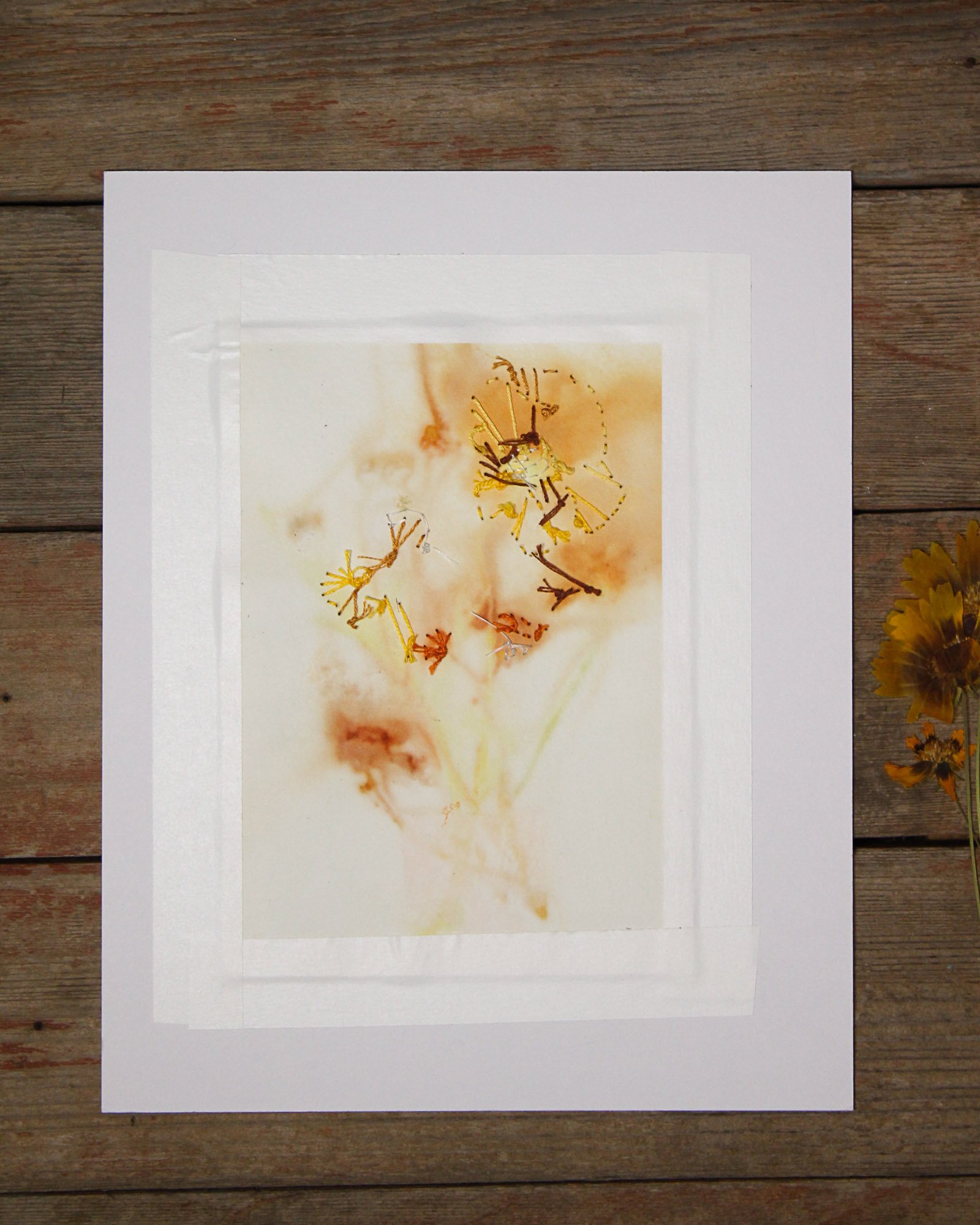 Botanical Impressions Art — carol ann webster