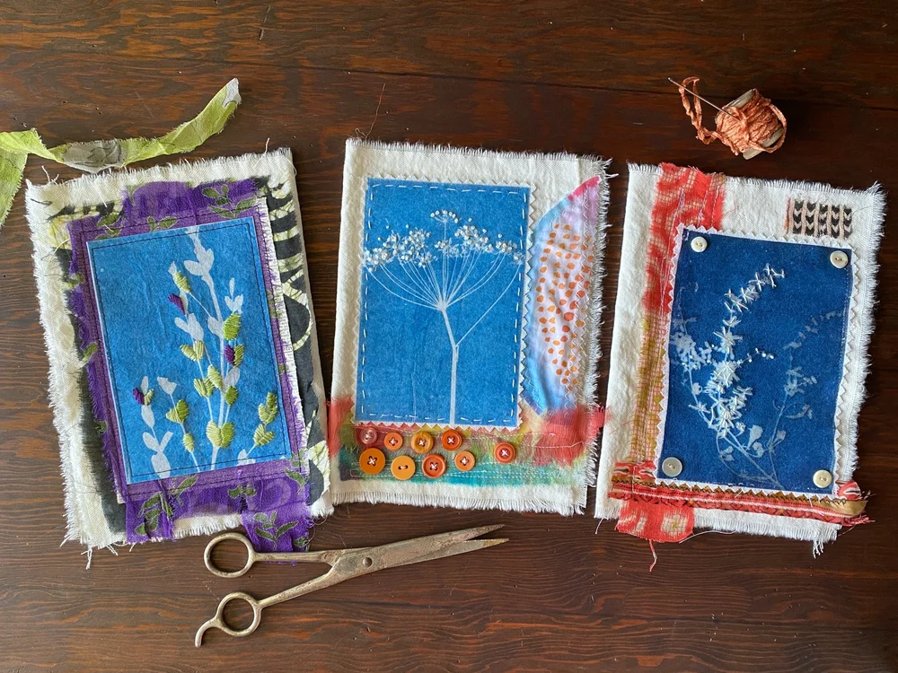 How to use cyanotype process on a tea bag — carol ann webster