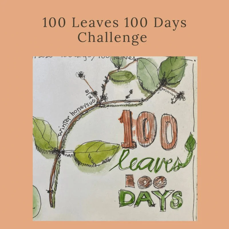 100 Leaves 100 Days Challenge — carol ann webster