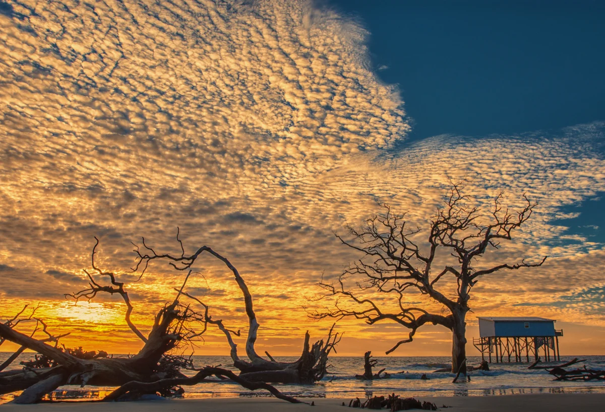 Lowcountry Landscapes — LongTime Photography