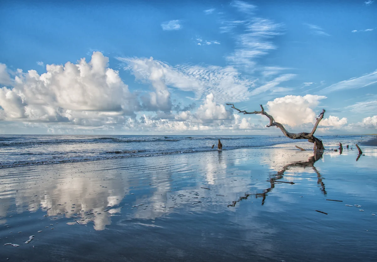 Lowcountry Landscapes — LongTime Photography