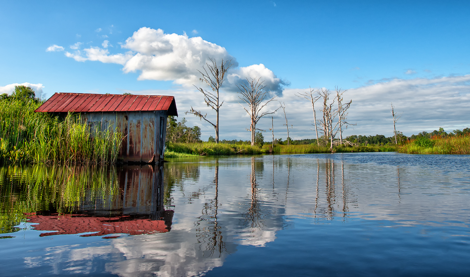 Lowcountry Landscapes — LongTime Photography