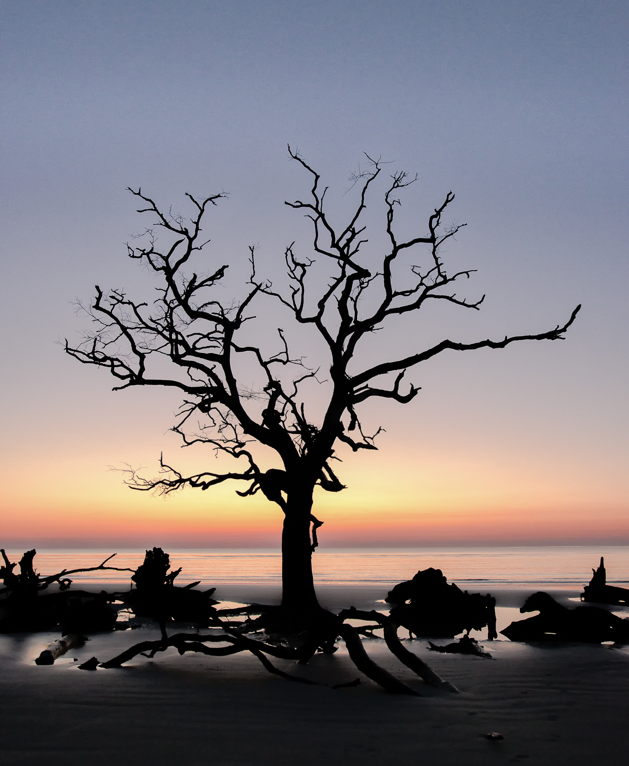 Lowcountry Landscapes — LongTime Photography