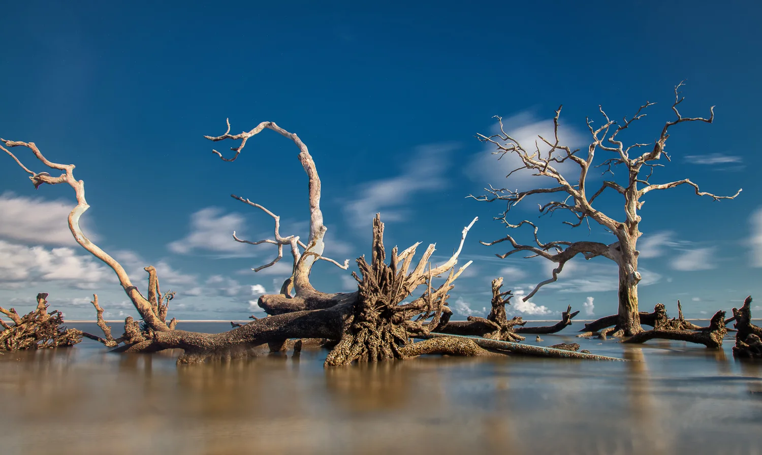Lowcountry Landscapes — LongTime Photography