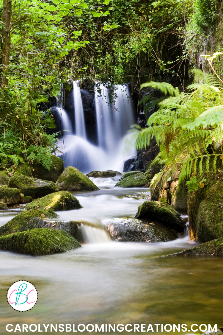 The Art of Being Still: 5 Ways To Bring It Into Your Life — DIY Home ...