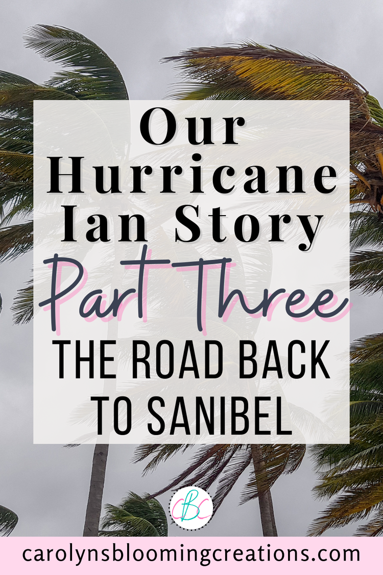 Our Hurricane Ian Story : Part Three — DIY Home Improvements Carolyn's ...