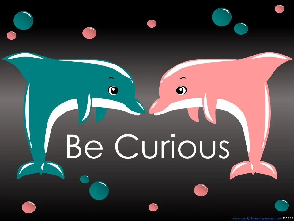 Carolyn's Curiosity: Are You Being Curious Enough? — DIY Home ...