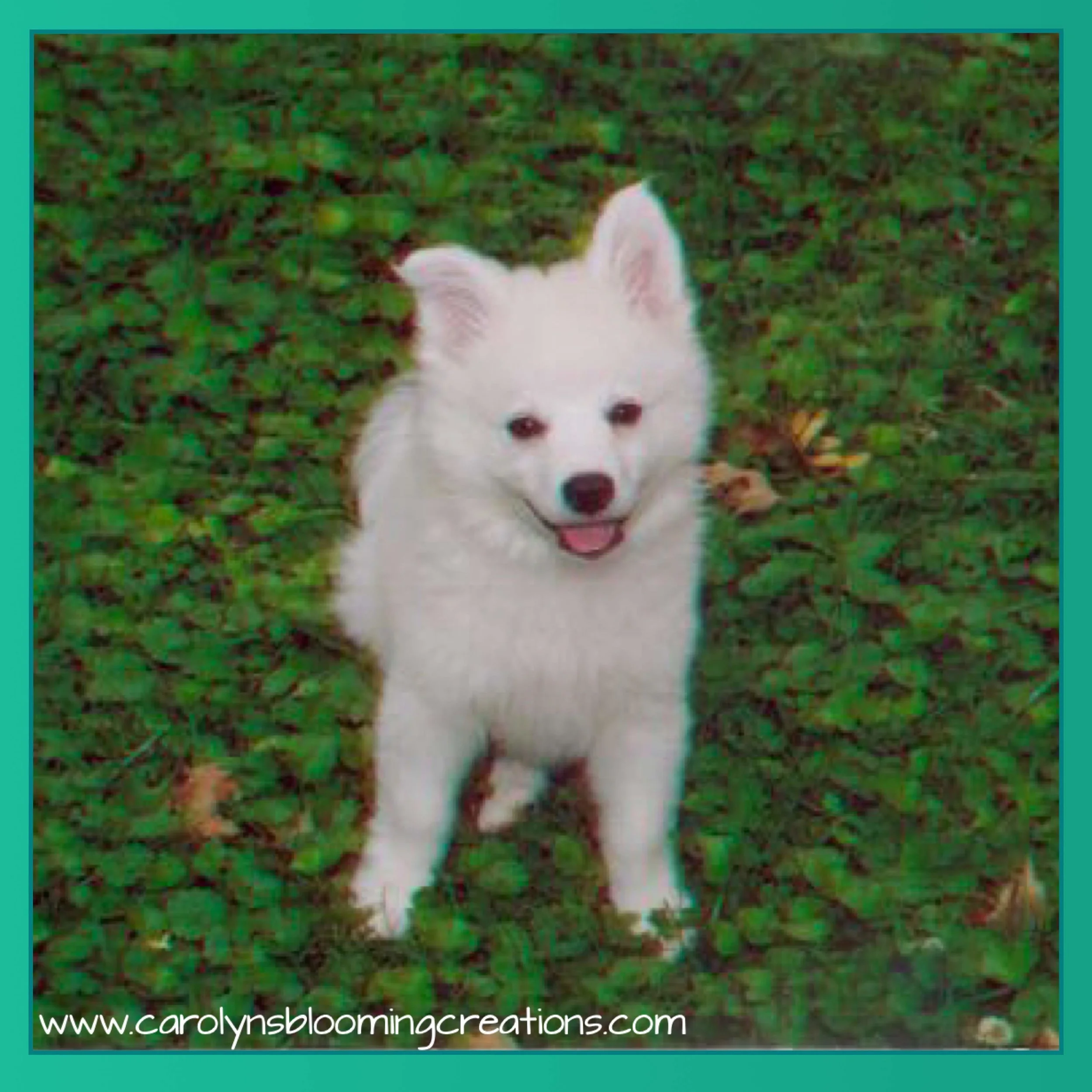 Saying "Goodbye", But Also "Hello" to Developing Your Intuition — DIY ...