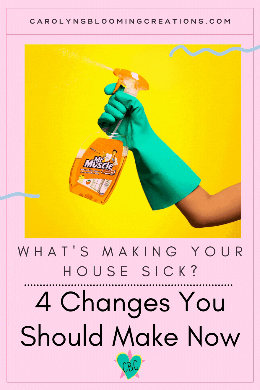 What's Making Your House Sick? + 4 Changes You Should Make Now — DIY ...
