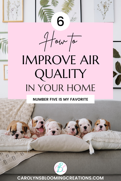 Improve Home Ventilation: How To Improve the Air Quality in the Home ...