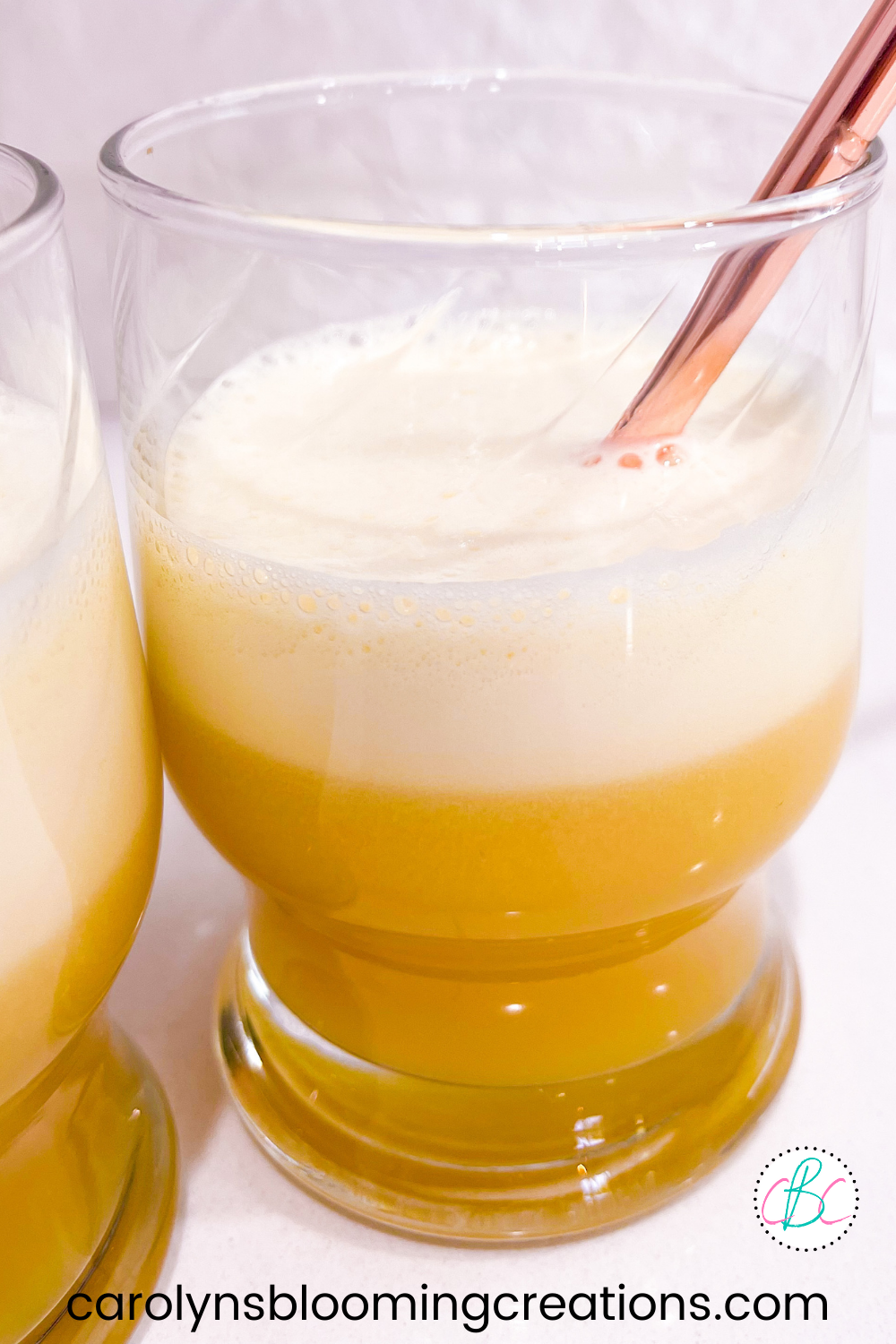Healthy 4 Ingredient Vitamin C Packed Juice Recipe — DIY Home ...