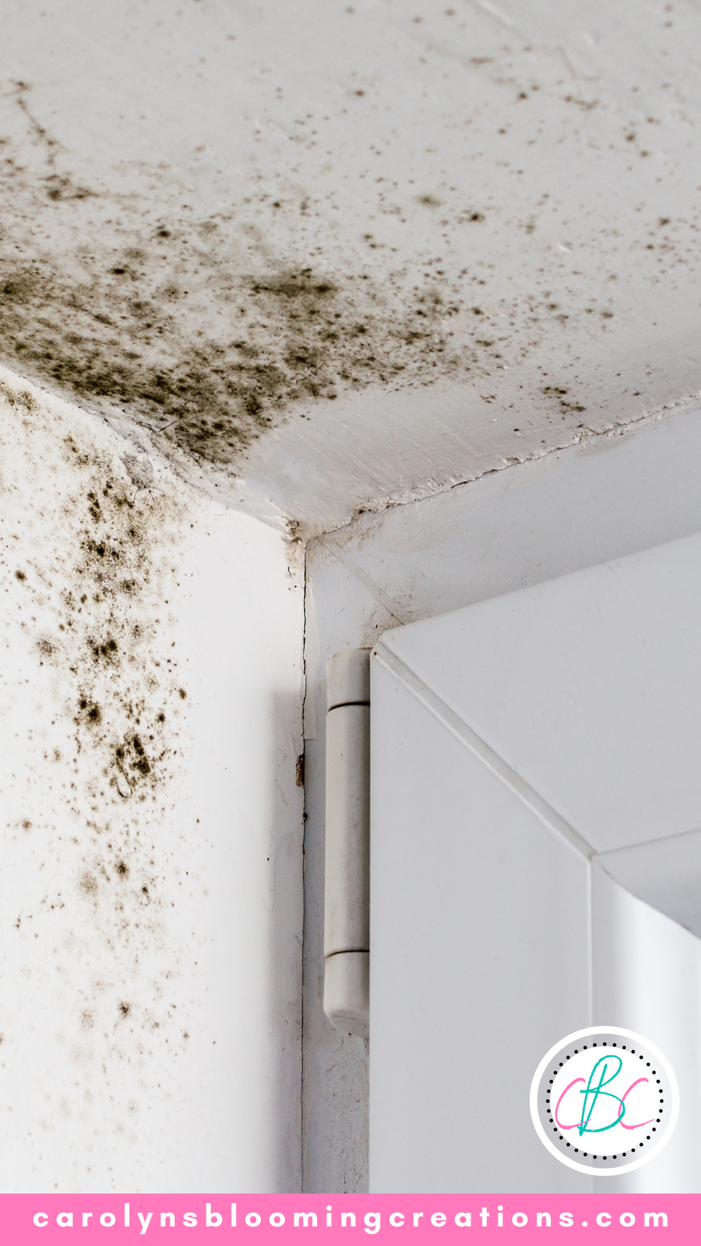 What's Causing Mold To Grow In Your Home? — DIY Home Improvements ...