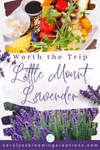 Little Mount Lavender Is Worth The Trip — DIY Home Improvements Carolyn ...