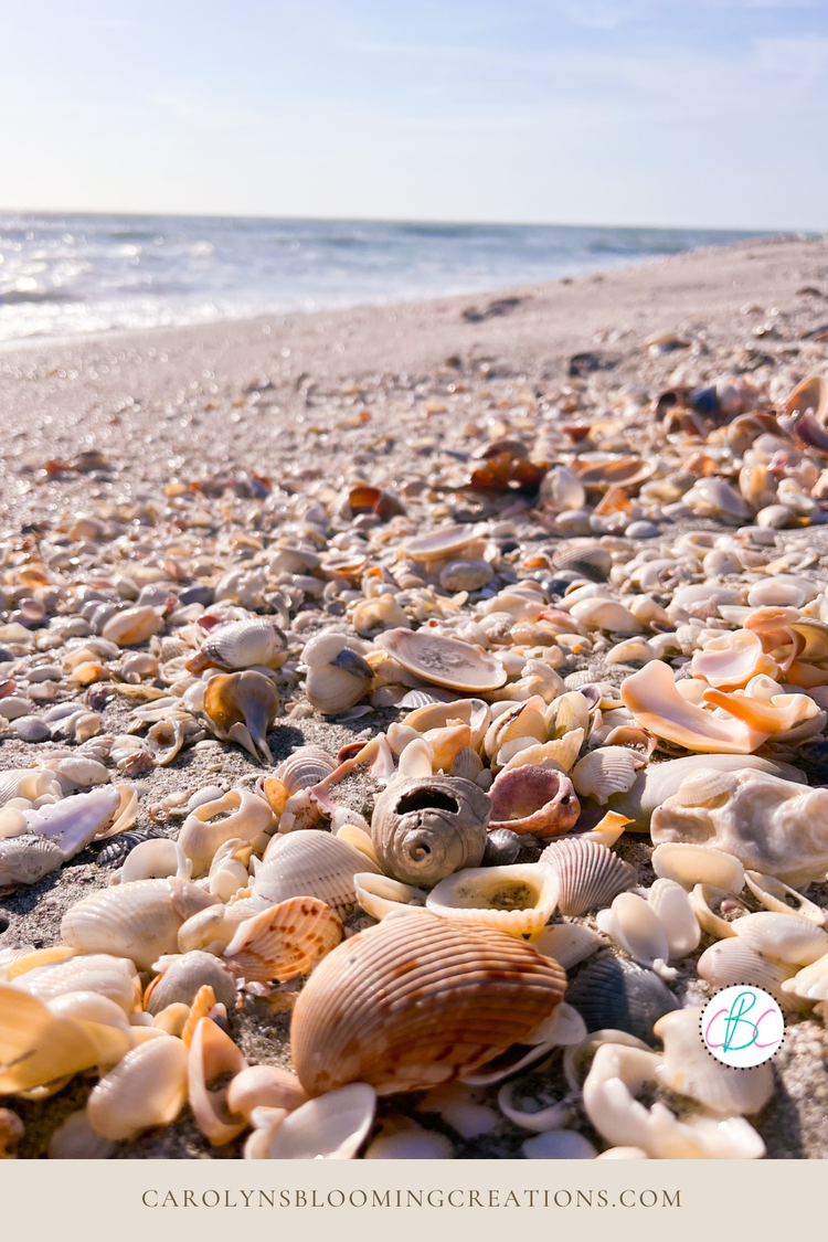 How To Make Magic Seashell Gifts + Shell Poem — DIY Home Improvements ...