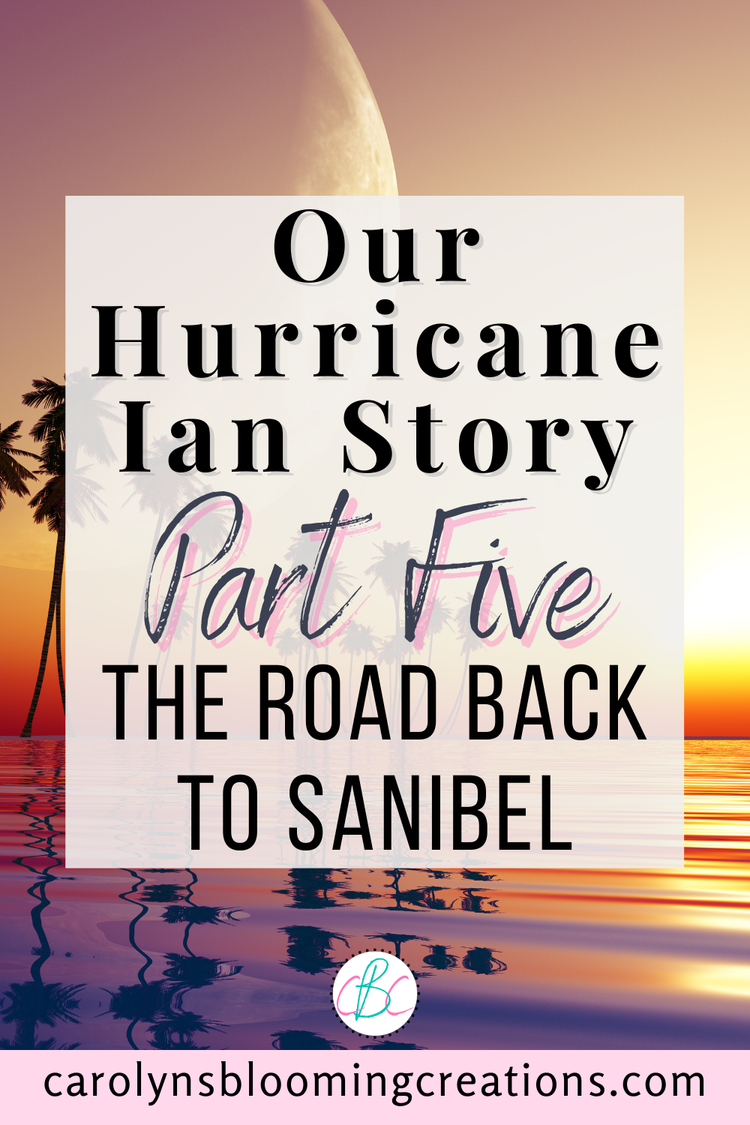 Our Hurricane Ian Story Part Five — DIY Home Improvements Carolyn's ...