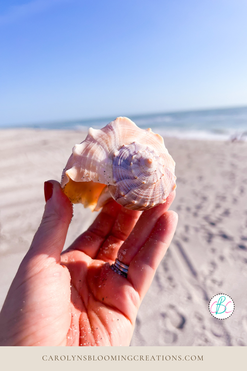 How To Make Magic Seashell Gifts + Shell Poem — DIY Home Improvements ...