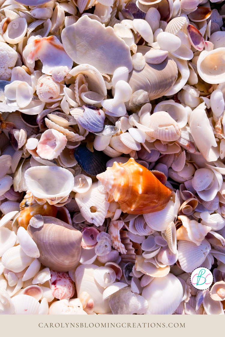 How To Make Magic Seashell Gifts + Shell Poem — DIY Home Improvements ...