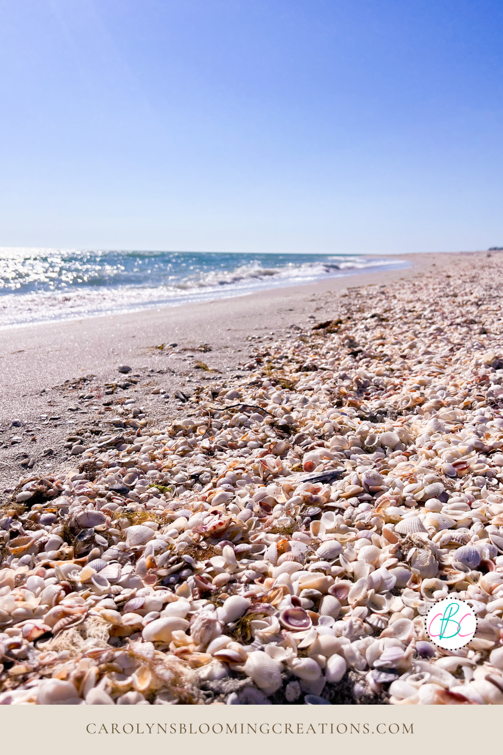 How To Make Magic Seashell Gifts + Shell Poem — DIY Home Improvements ...