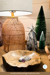 How To Make a Seashell Christmas Tree — DIY Home Improvements Carolyn's ...