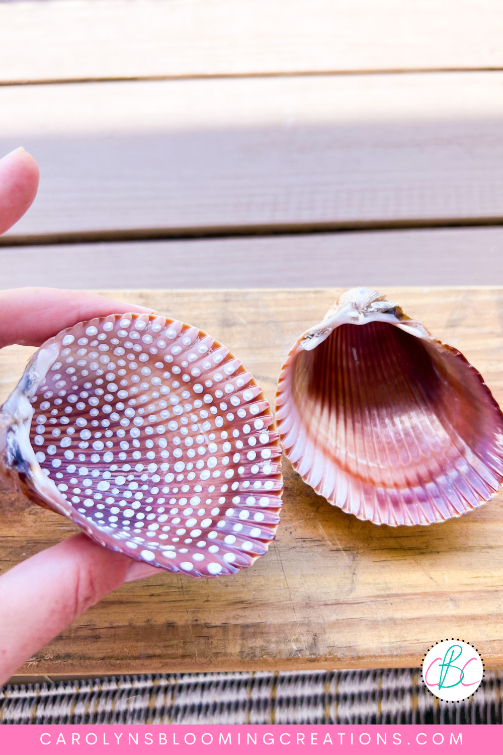 How to Make Butterfly Seashell Ornaments — DIY Home Improvements ...