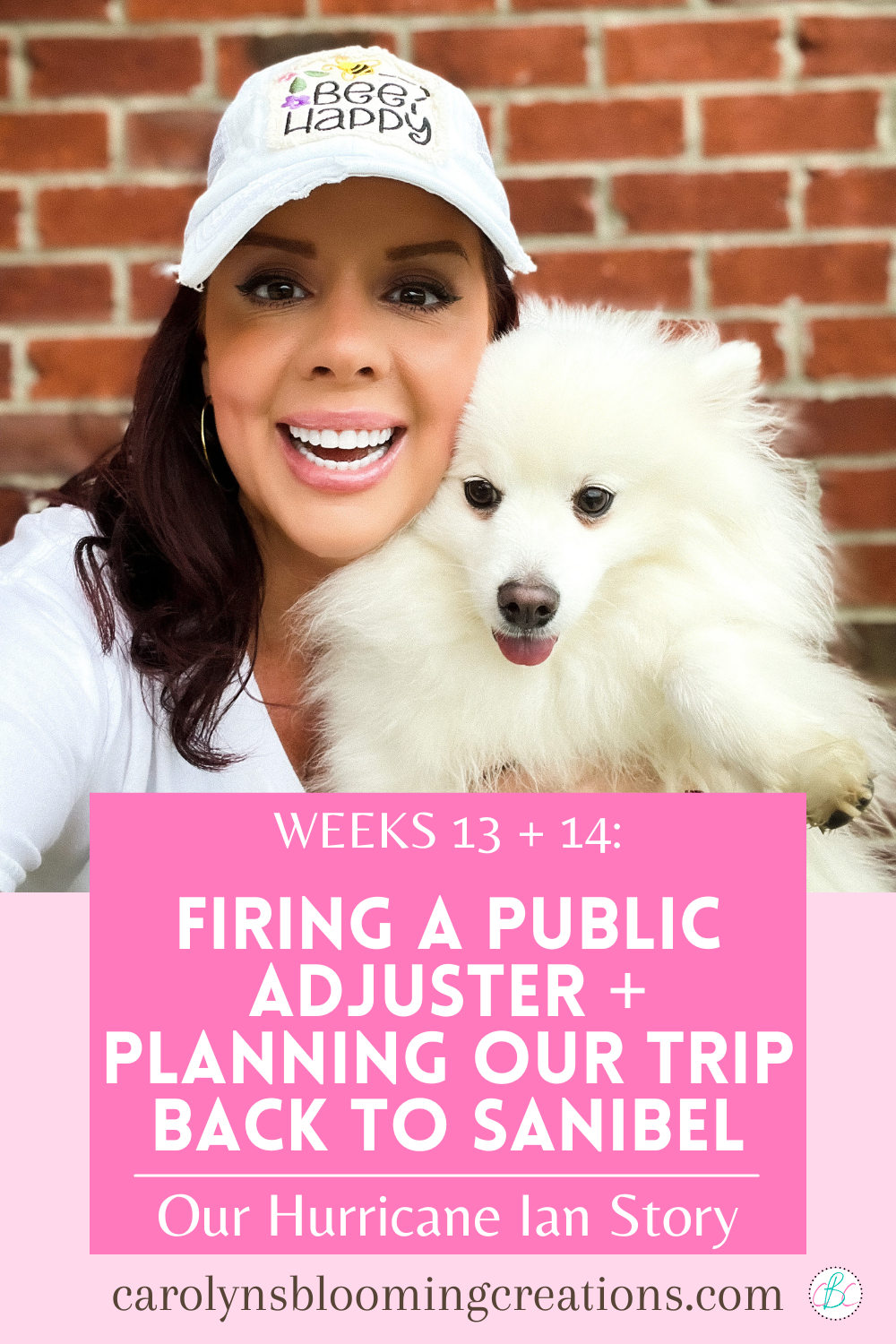 Our Hurricane Ian Story : Part Four — DIY Home Improvements Carolyn's ...