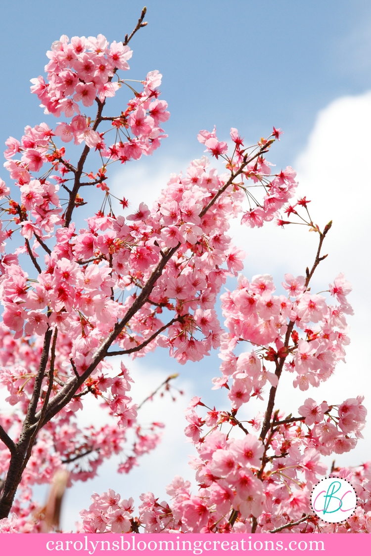 9 Things to Consider When Sprucing Up Your Backyard — DIY Home ...