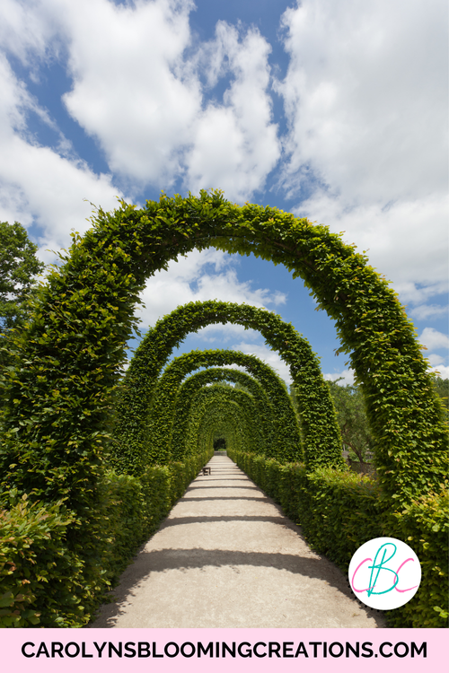 3 Ways to Make Your Garden Look Gorgeous — DIY Home Improvements ...